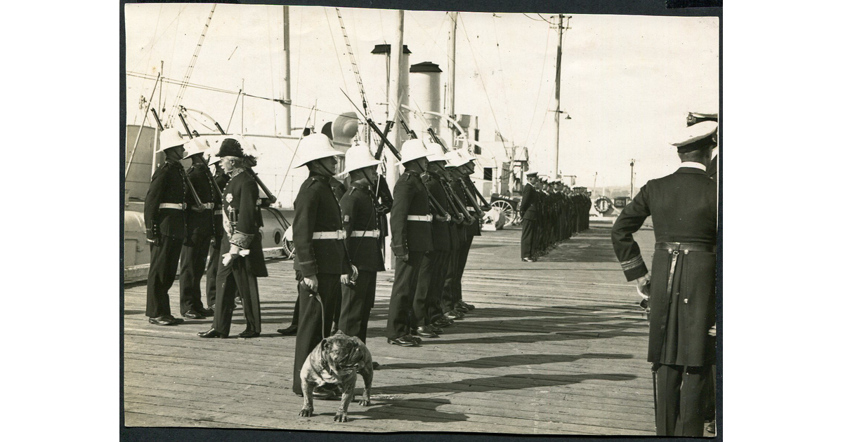Navy / Photography - Historical | MAD on New Zealand
