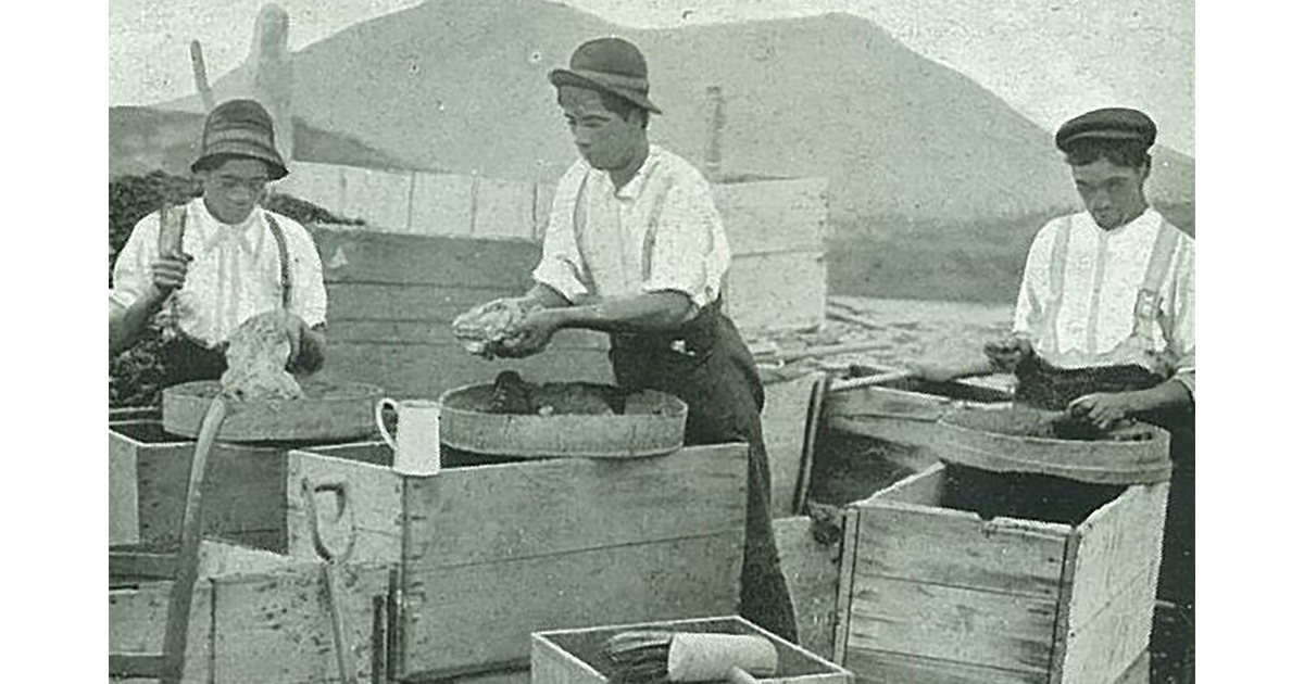 Kauri Gum Industry / Photography - Historical | MAD on New Zealand