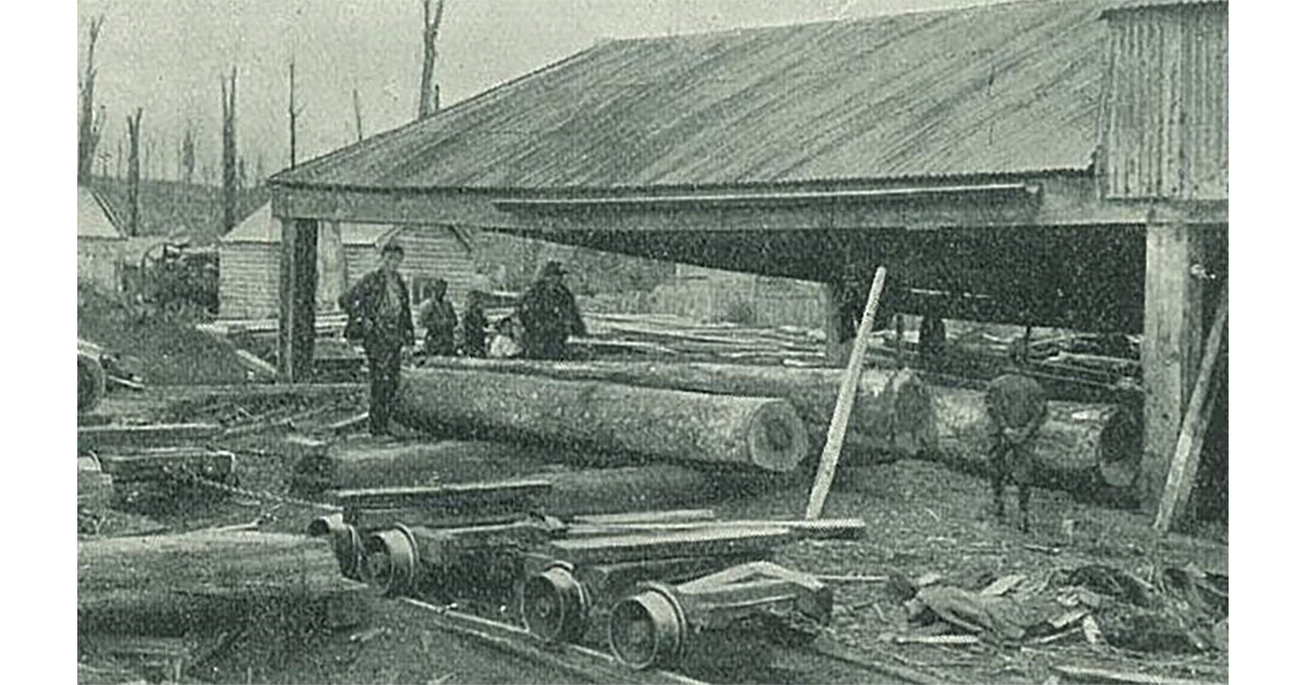 Timber Industry / Photography - Historical | MAD on New Zealand