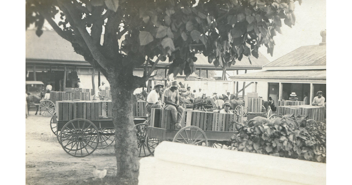 Cook Islands / Photography - Historical | MAD on New Zealand