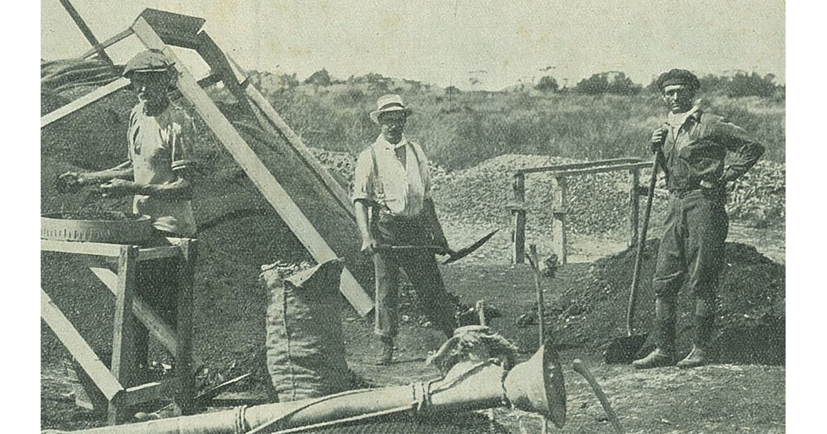Kauri Gum Industry / Photography - Historical | MAD on New Zealand