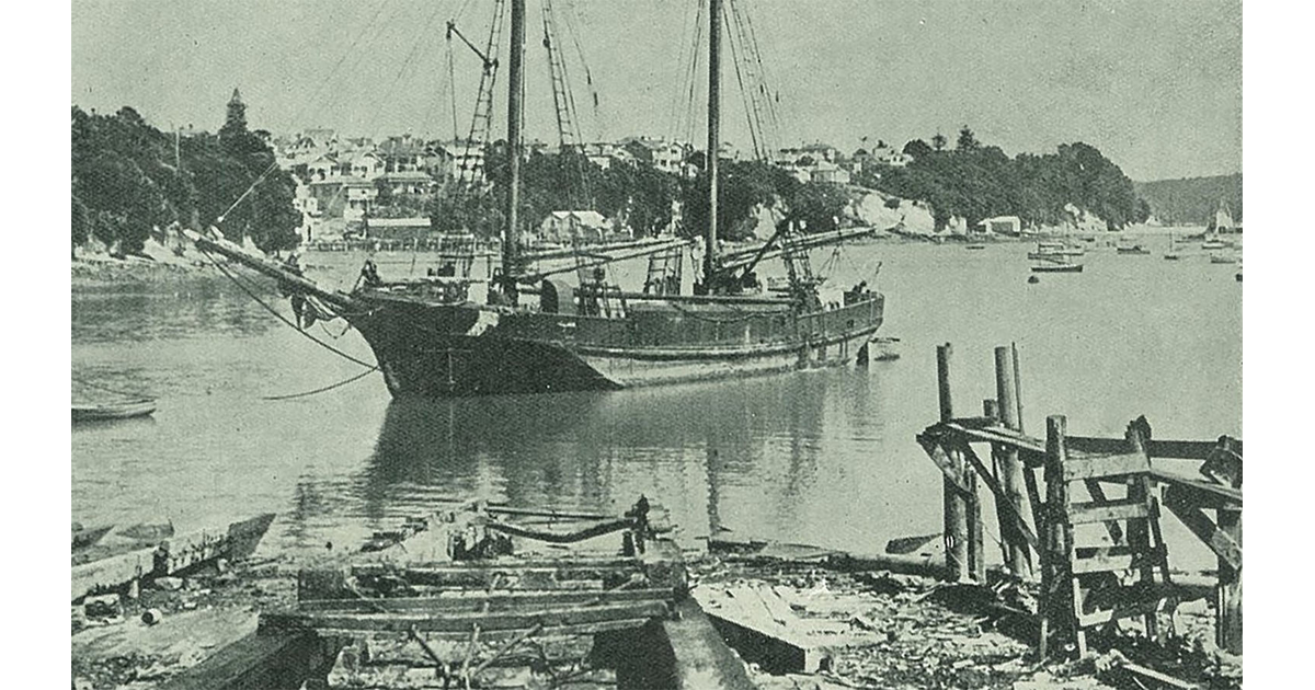 Auckland / Photography - Historical | MAD on New Zealand