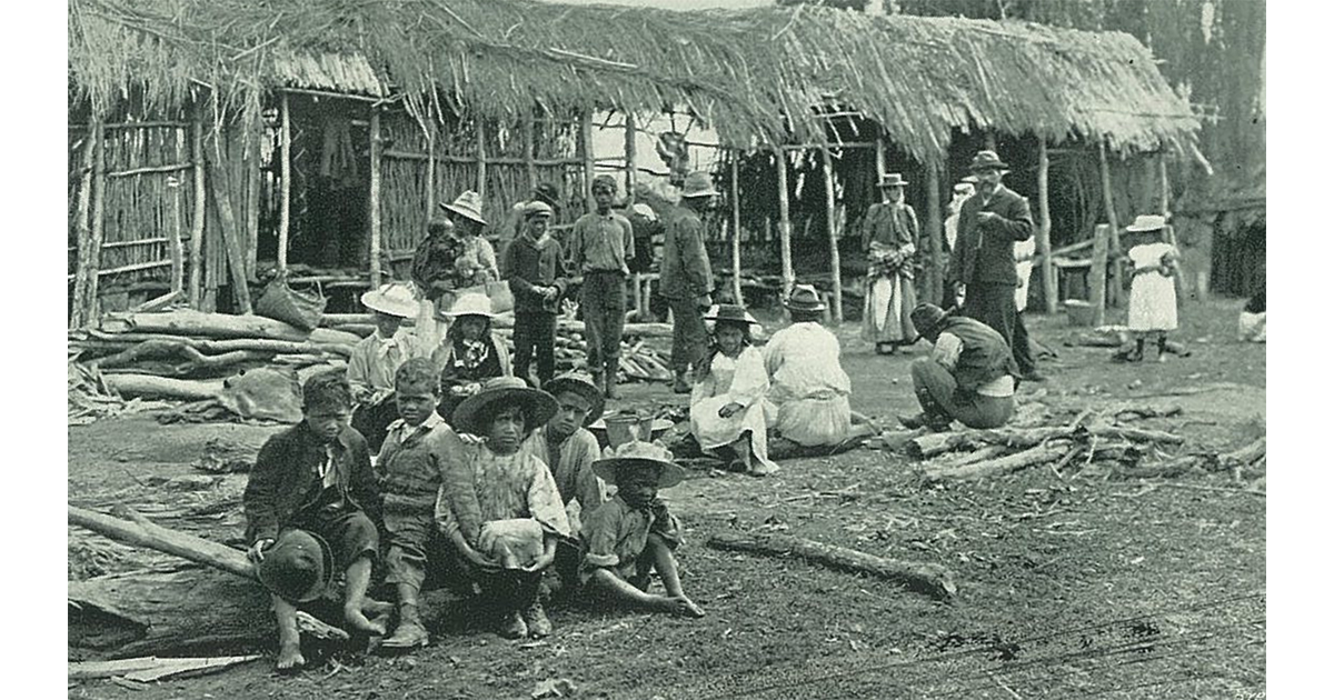 Maori Culture / Photography - Historical | MAD on New Zealand